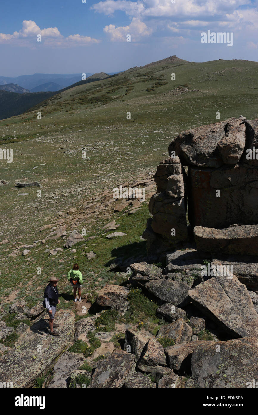 Tundra above tree line on mountain hi-res stock photography and images ...