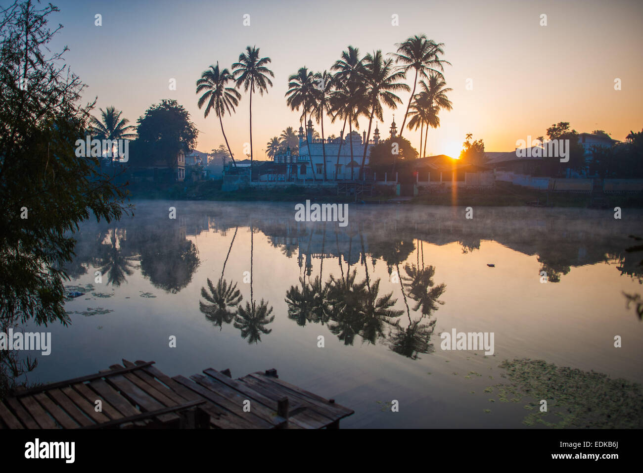 Myanmar burma palm trees in hi-res stock photography and images - Alamy
