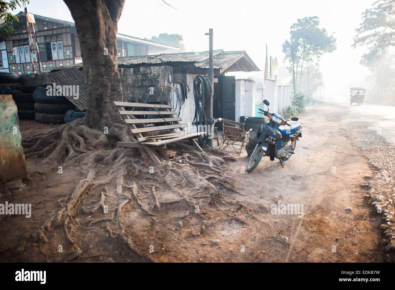 Moped parked next to bench ans tree with interesting roots, Loikaw ...