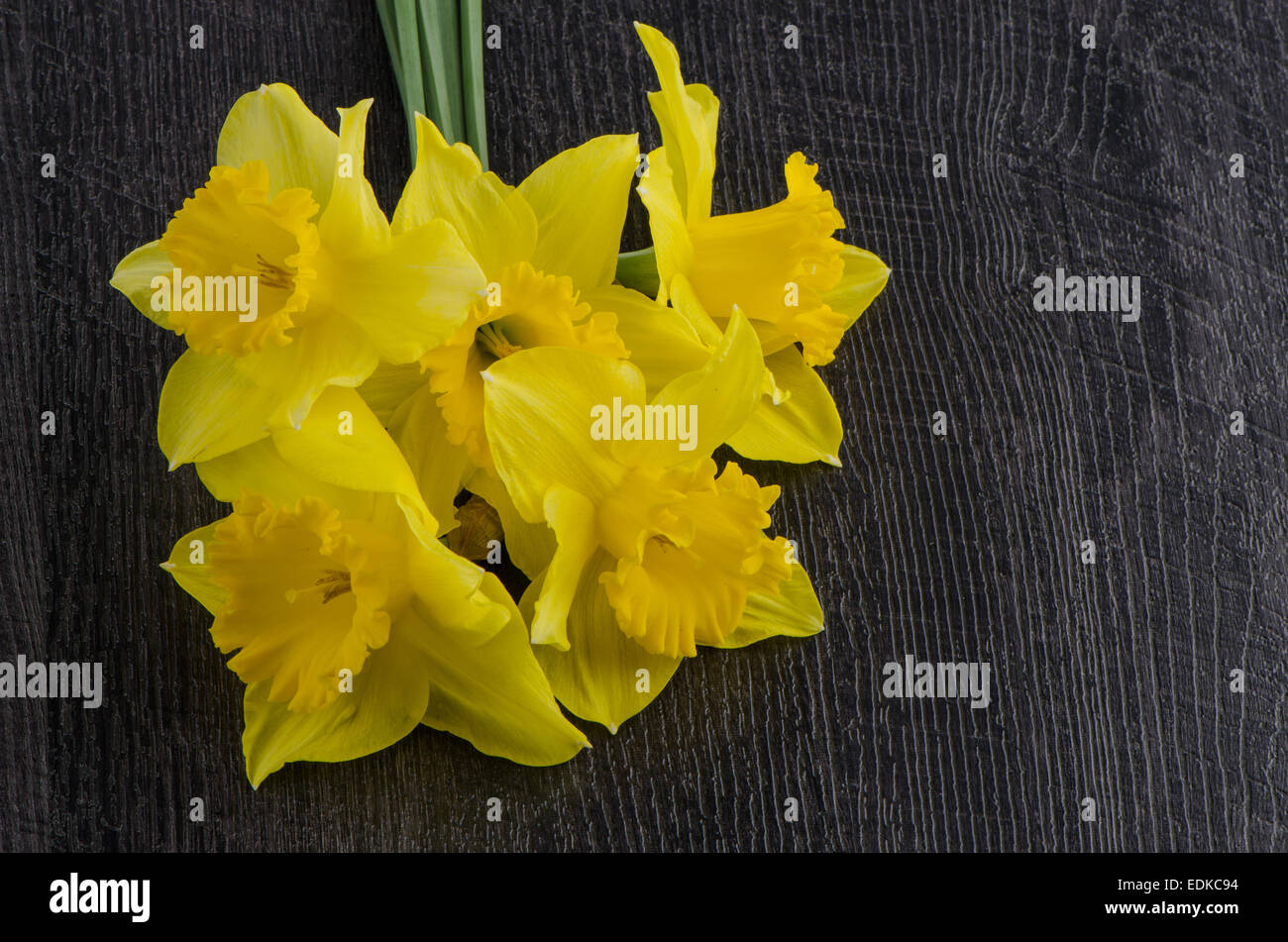 Yellow jonquil flowers on dark wooden background Stock Photo - Alamy