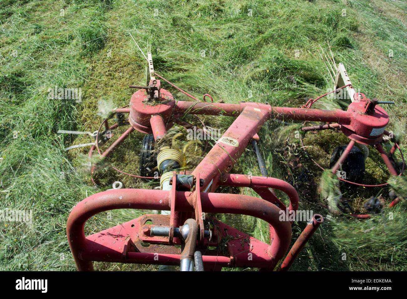 Good grass hi-res stock photography and images - Alamy