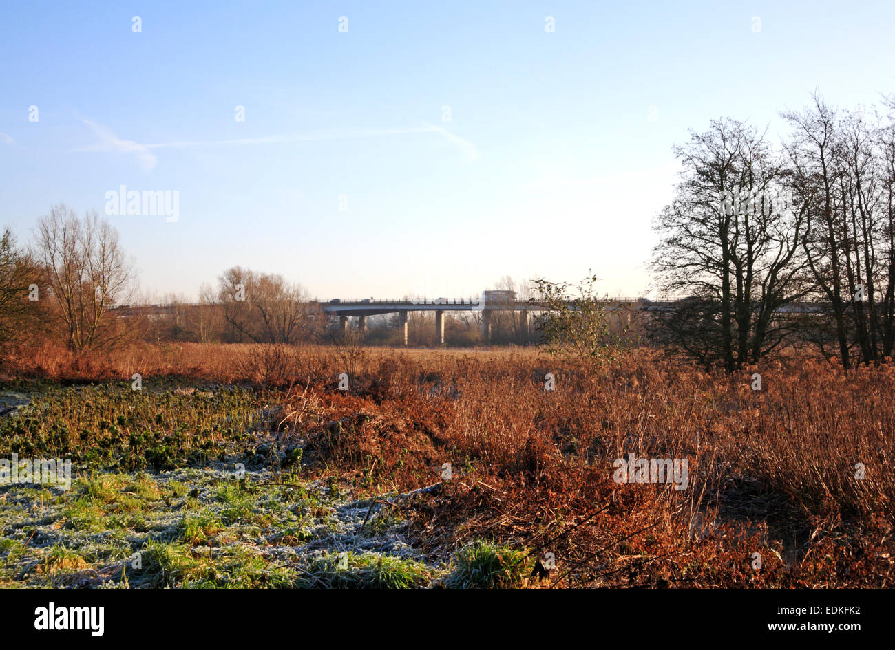 A view of the Postwick Viaduct from across Whitlingham Nature Reserve ...
