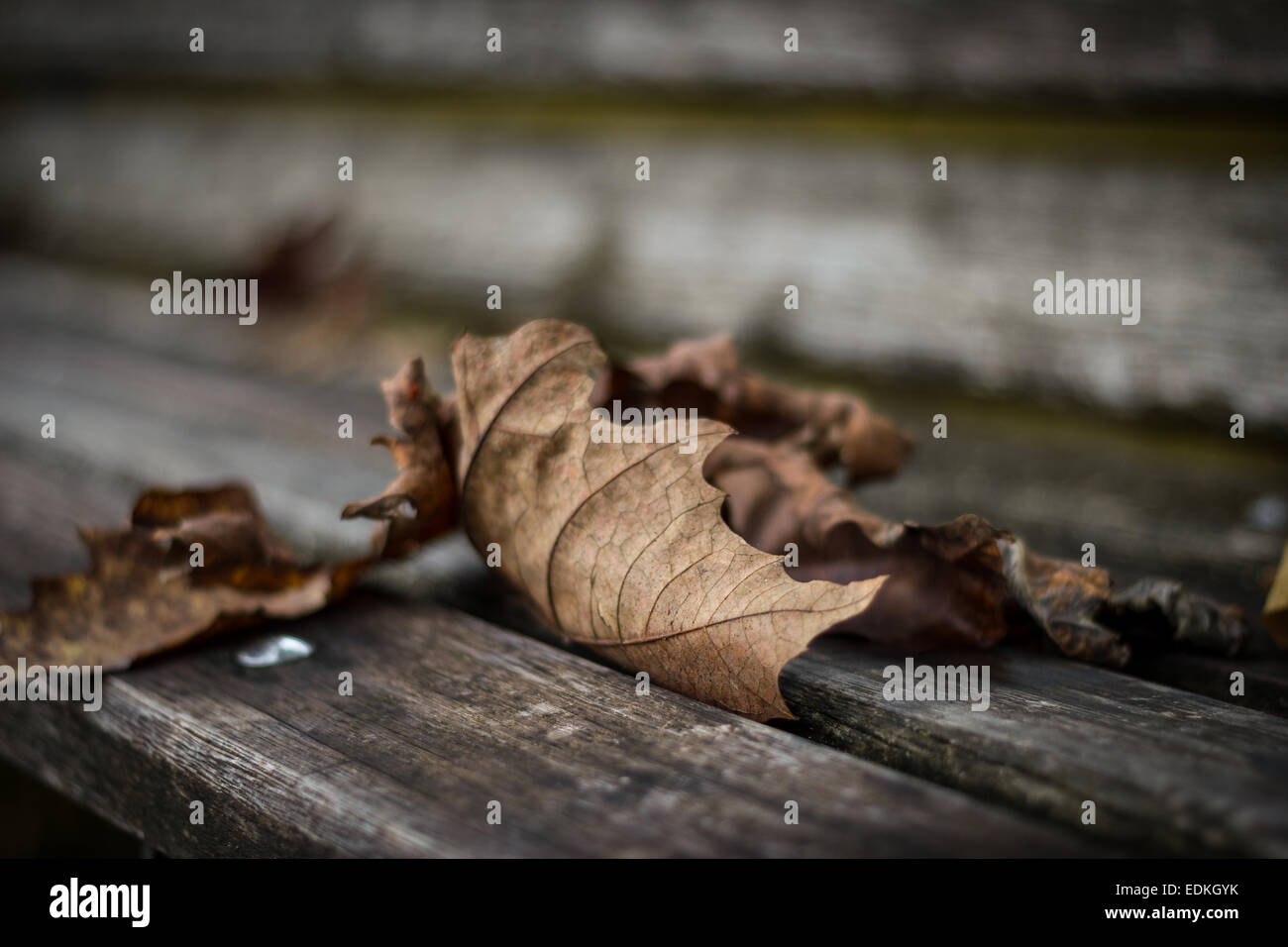 Flutter and fall hi-res stock photography and images - Alamy