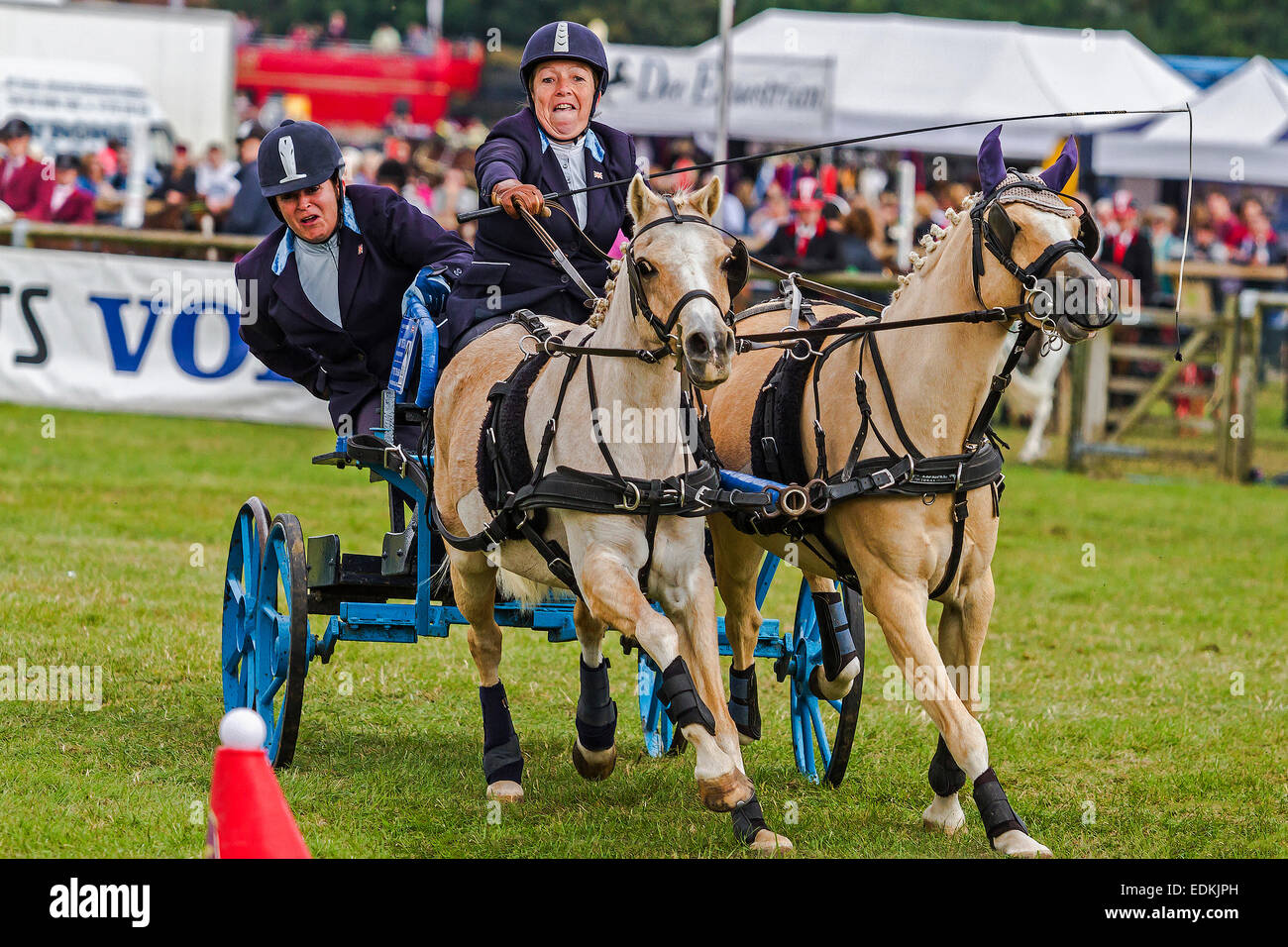 Scurry hi-res stock photography and images - Alamy