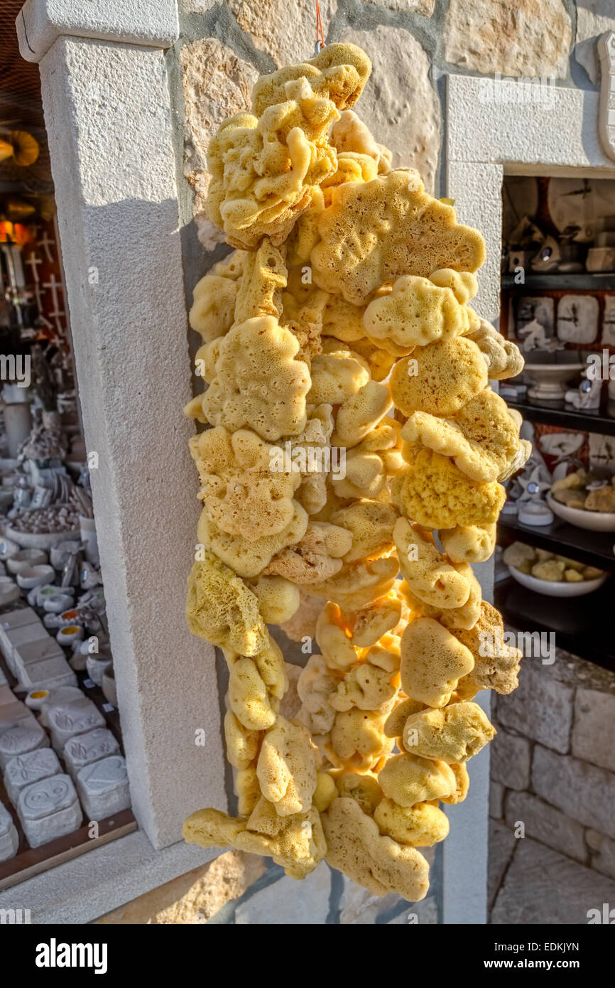 Dried sea sponges Stock Photo - Alamy