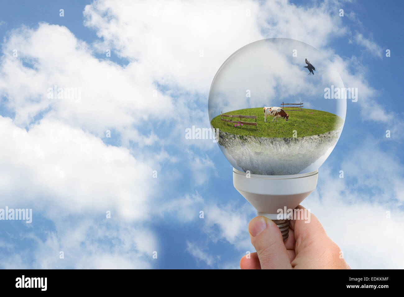 concept of organic farming with cows free from contamination in light ...