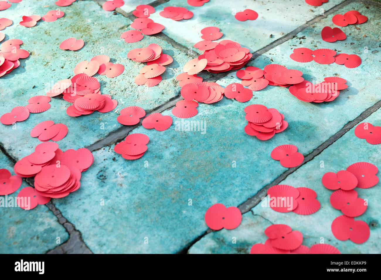 paper poppies on remembrance day Stock Photo - Alamy