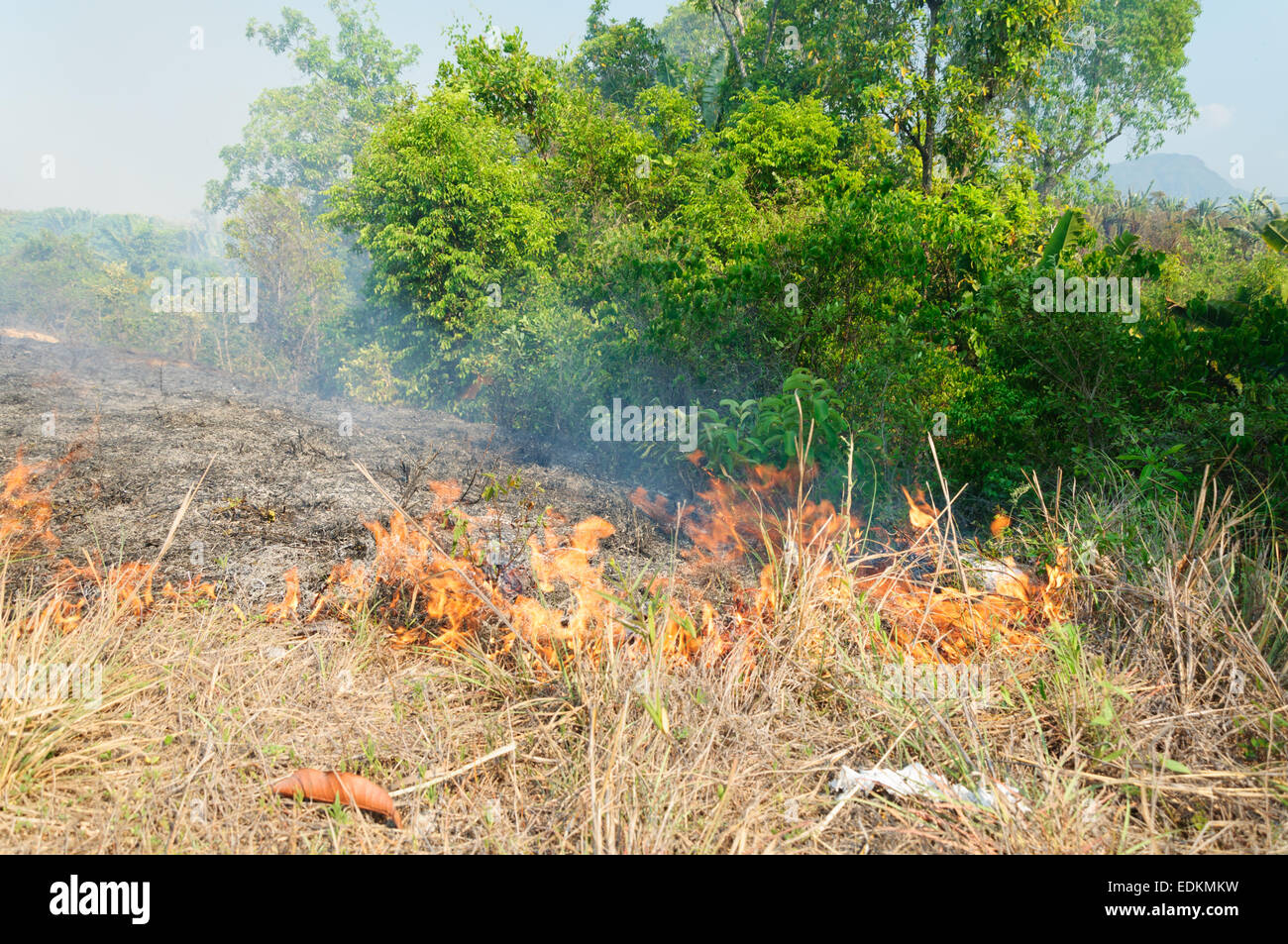 A bush fire melting down an entire landscape Stock Photo - Alamy