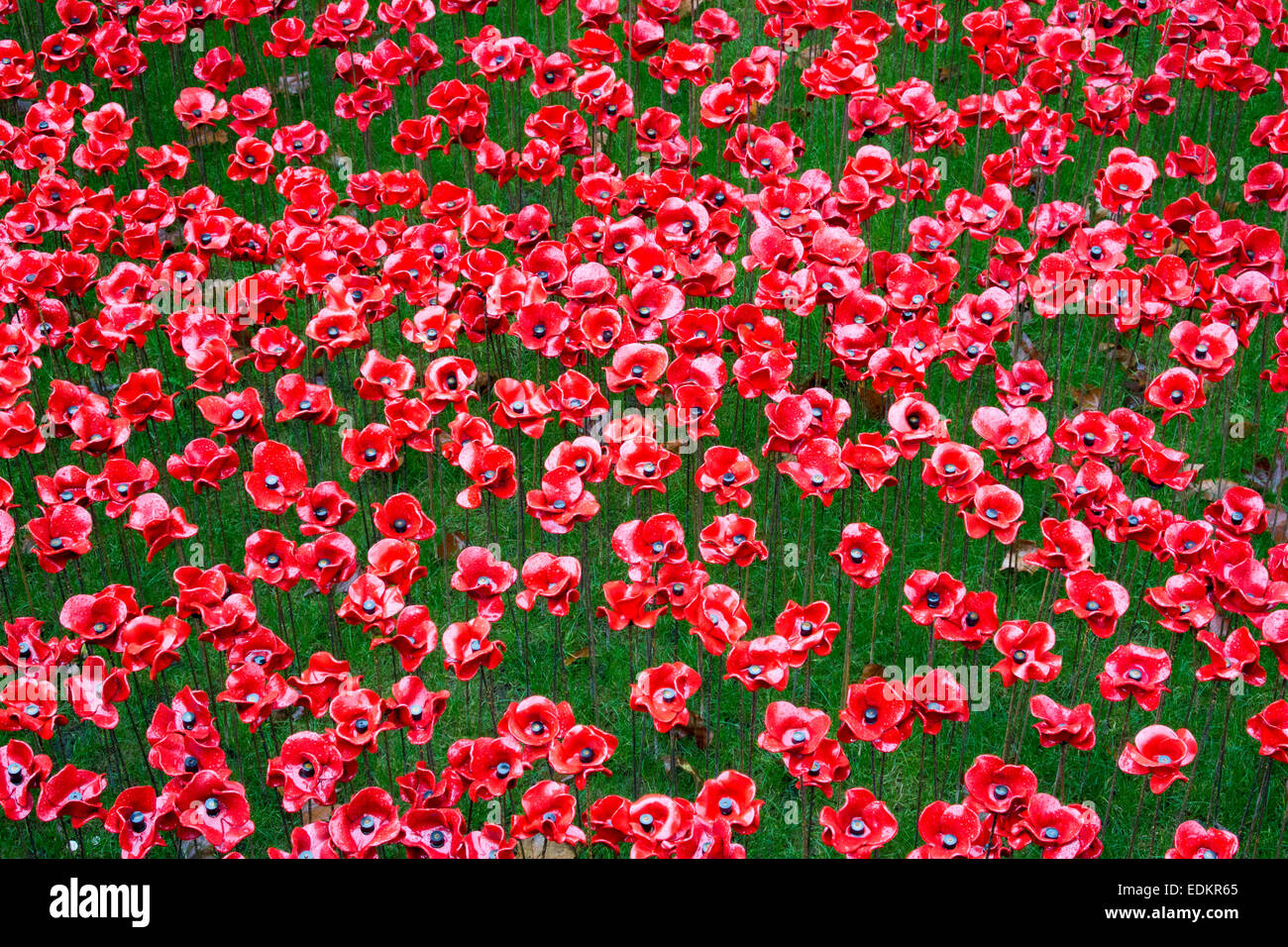 The Tower of London's 'Blood swept Lands and Seas of Red' poppy ...