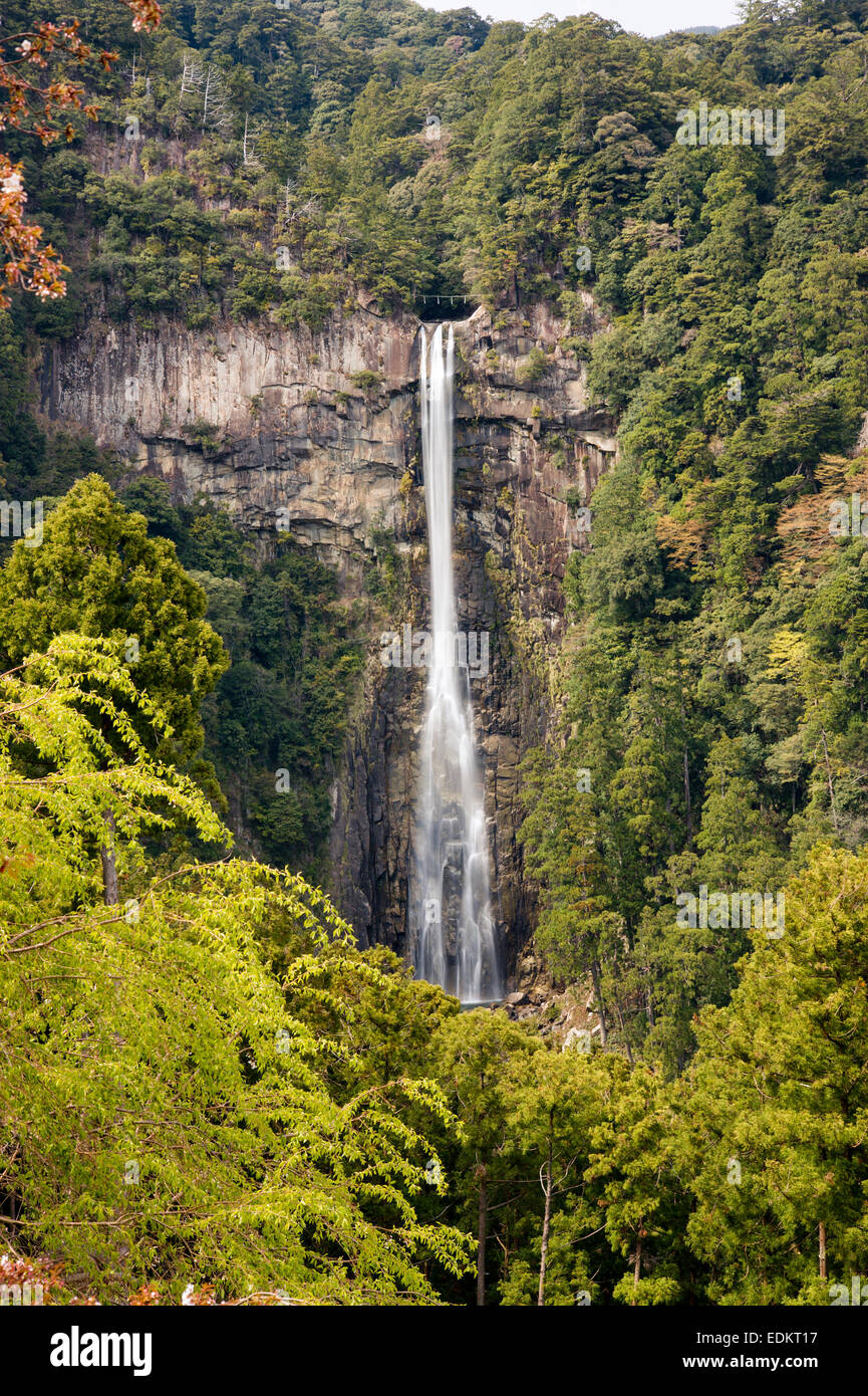 The famous tourist destination, the 133 meter nachi waterfall, one of ...