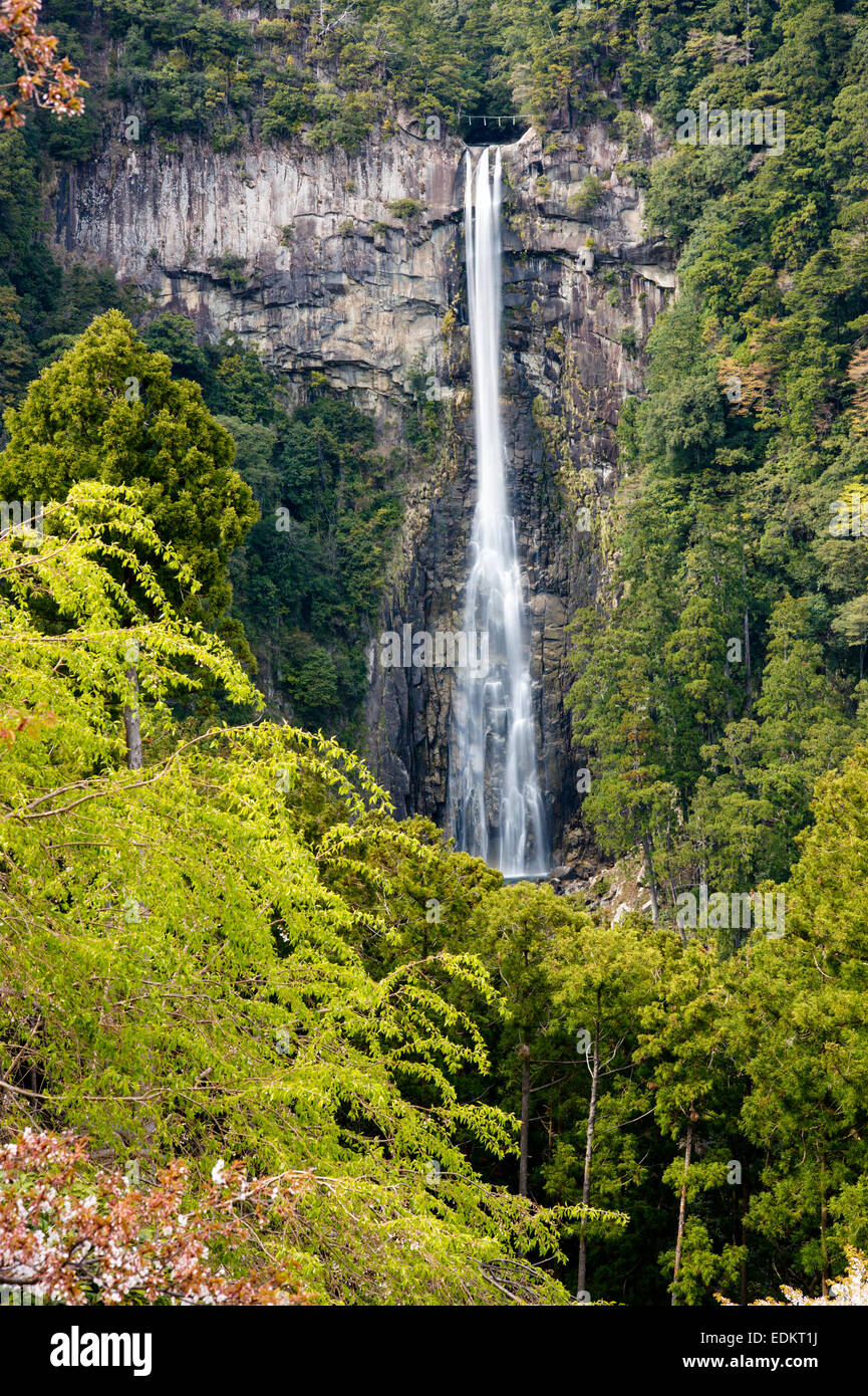 The famous tourist destination, the 133 meter nachi waterfall, one of ...