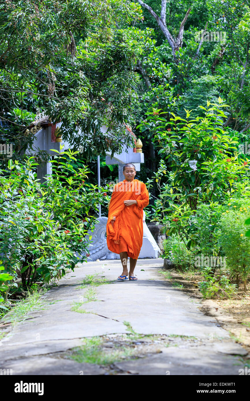 Young Buddhist Monk Walking To The Camera Stock Photo - Alamy