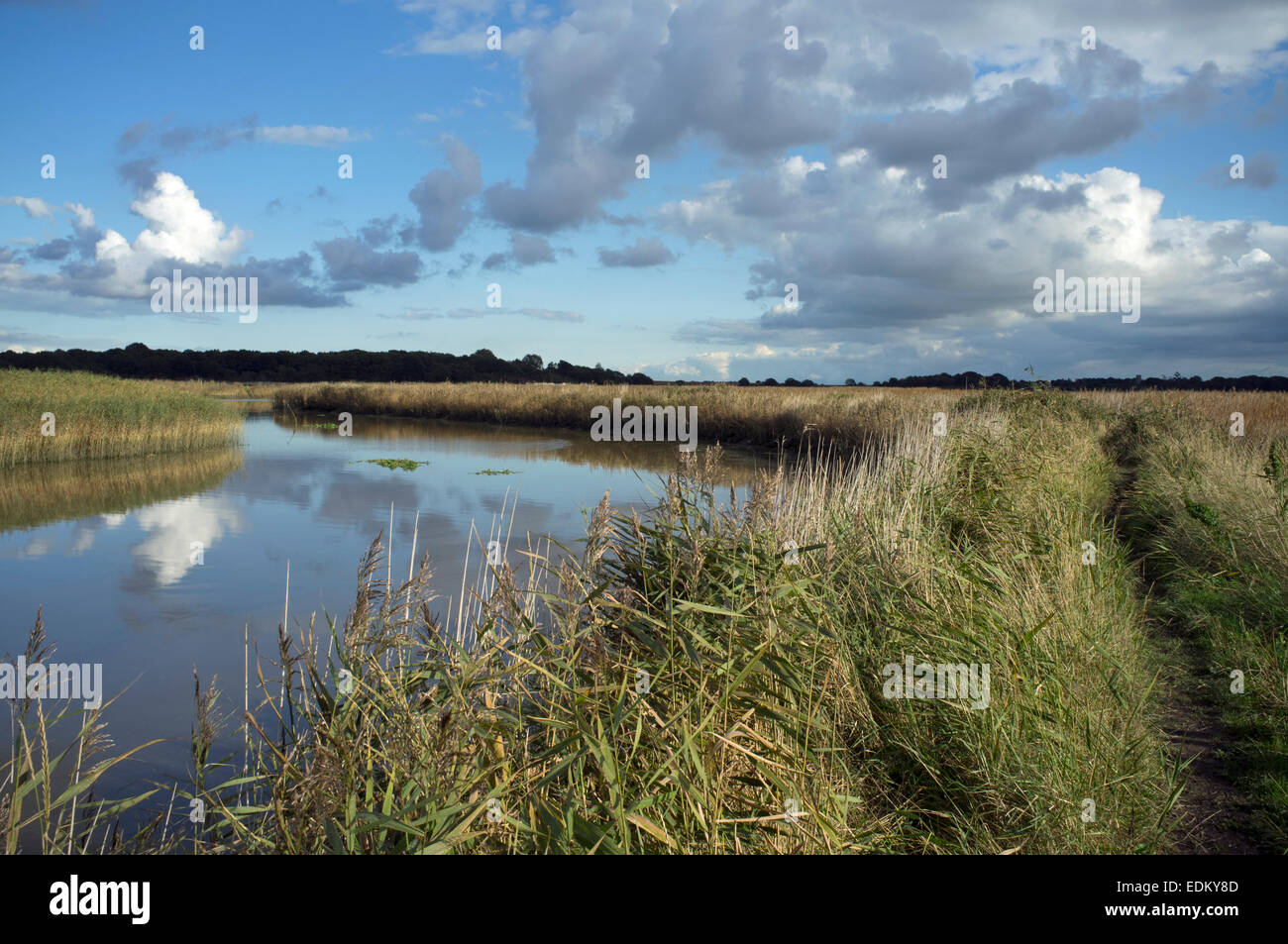 River Alde, Snape, Suffolk, UK Stock Photo - Alamy