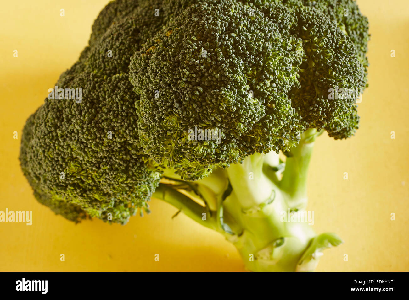 Whole head hi-res stock photography and images - Alamy