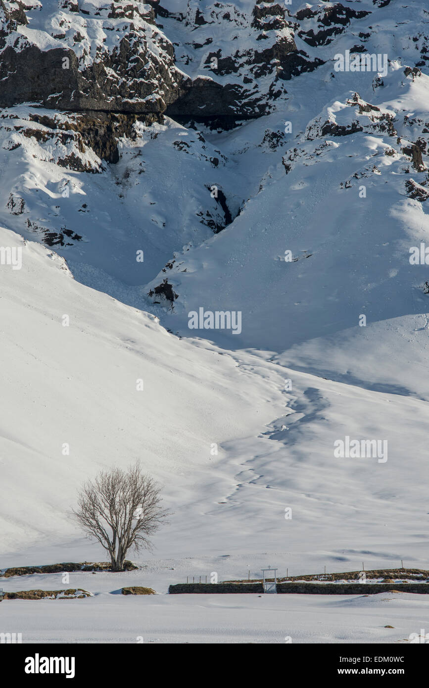 Skaftafell area, Iceland Vatnajokull National Park, Iceland Stock Photo ...