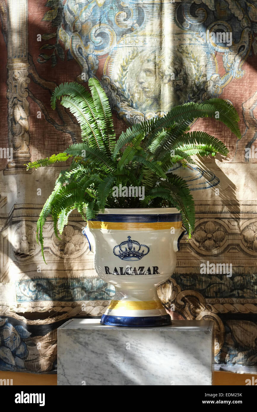 Seville Spain: Decorative Plant Pot in the Alcazar Stock Photo - Alamy