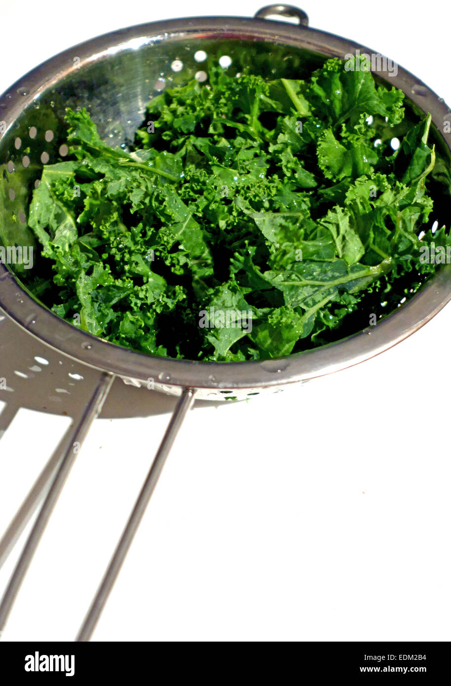 Curly leaf kale is a nutritious green vegetable, London Stock Photo - Alamy