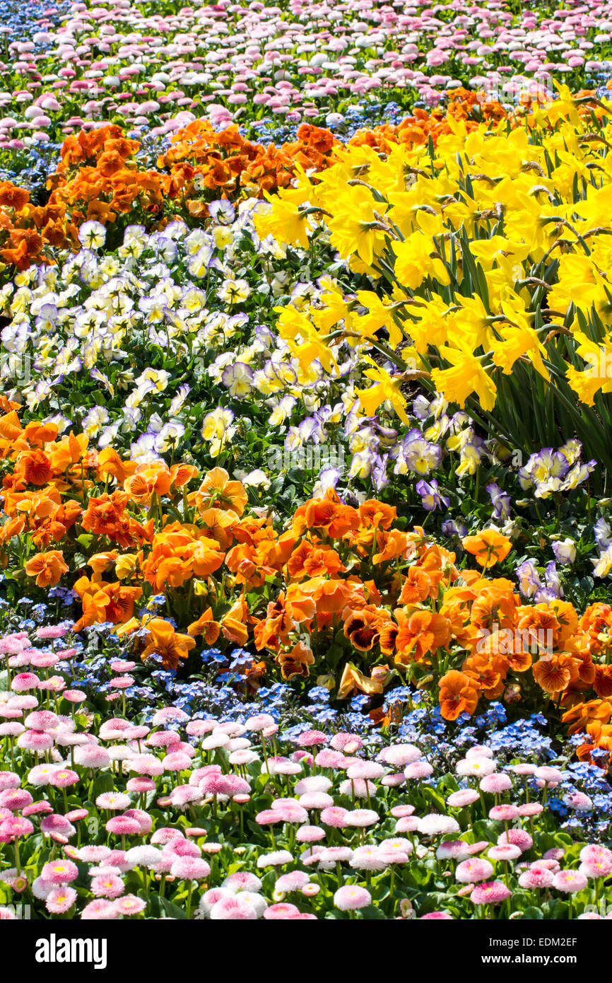 Gorgeous garden with a flower bed full of blossoms Stock Photo - Alamy
