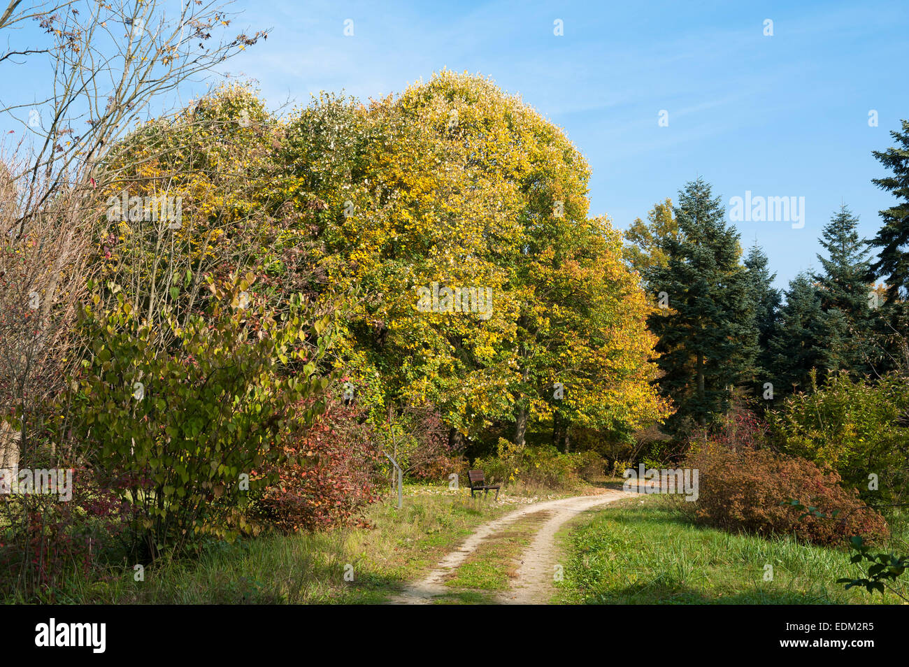 Rogow hi-res stock photography and images - Alamy