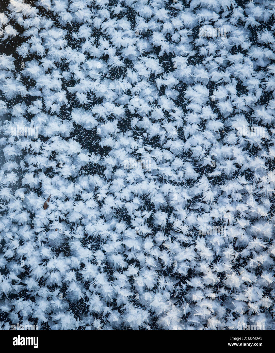 Snow crystal hi-res stock photography and images - Alamy