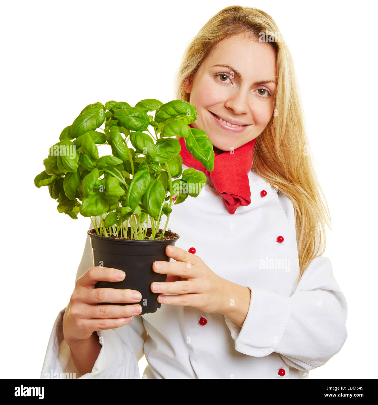 Happy young woman as chef cook with basil herbs in her hands Stock ...