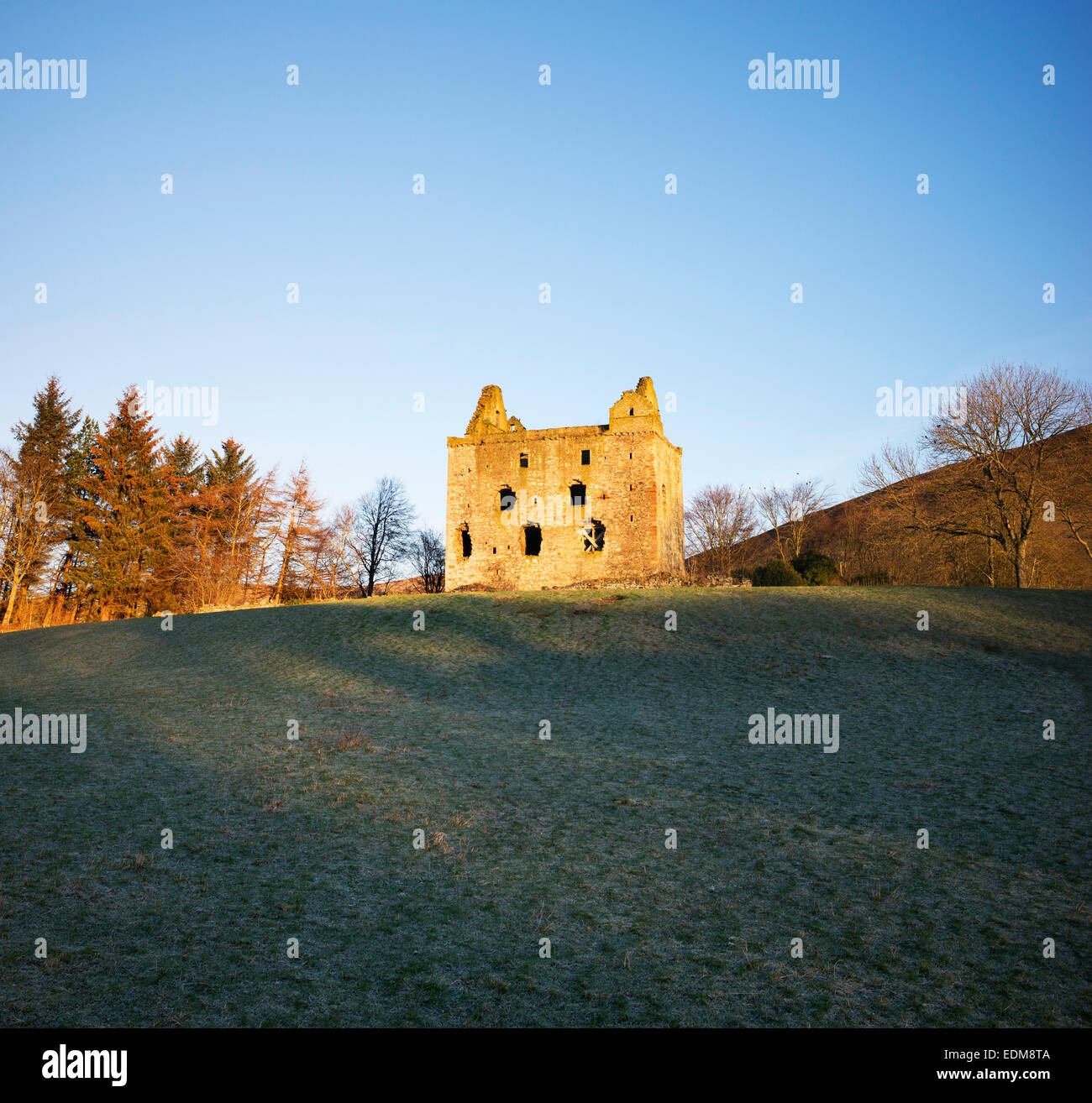 At bowhill hi-res stock photography and images - Alamy