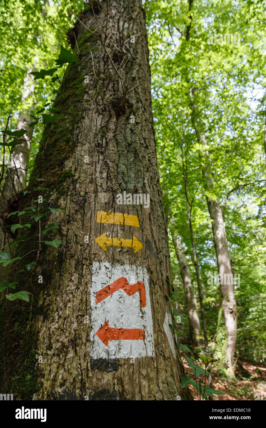 Waymarker waymark hi-res stock photography and images - Alamy