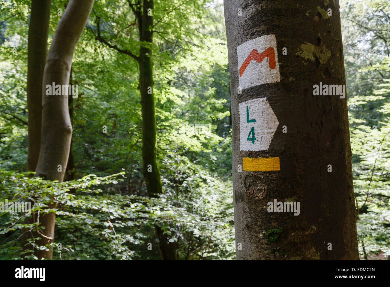 Waymarker waymark hi-res stock photography and images - Alamy