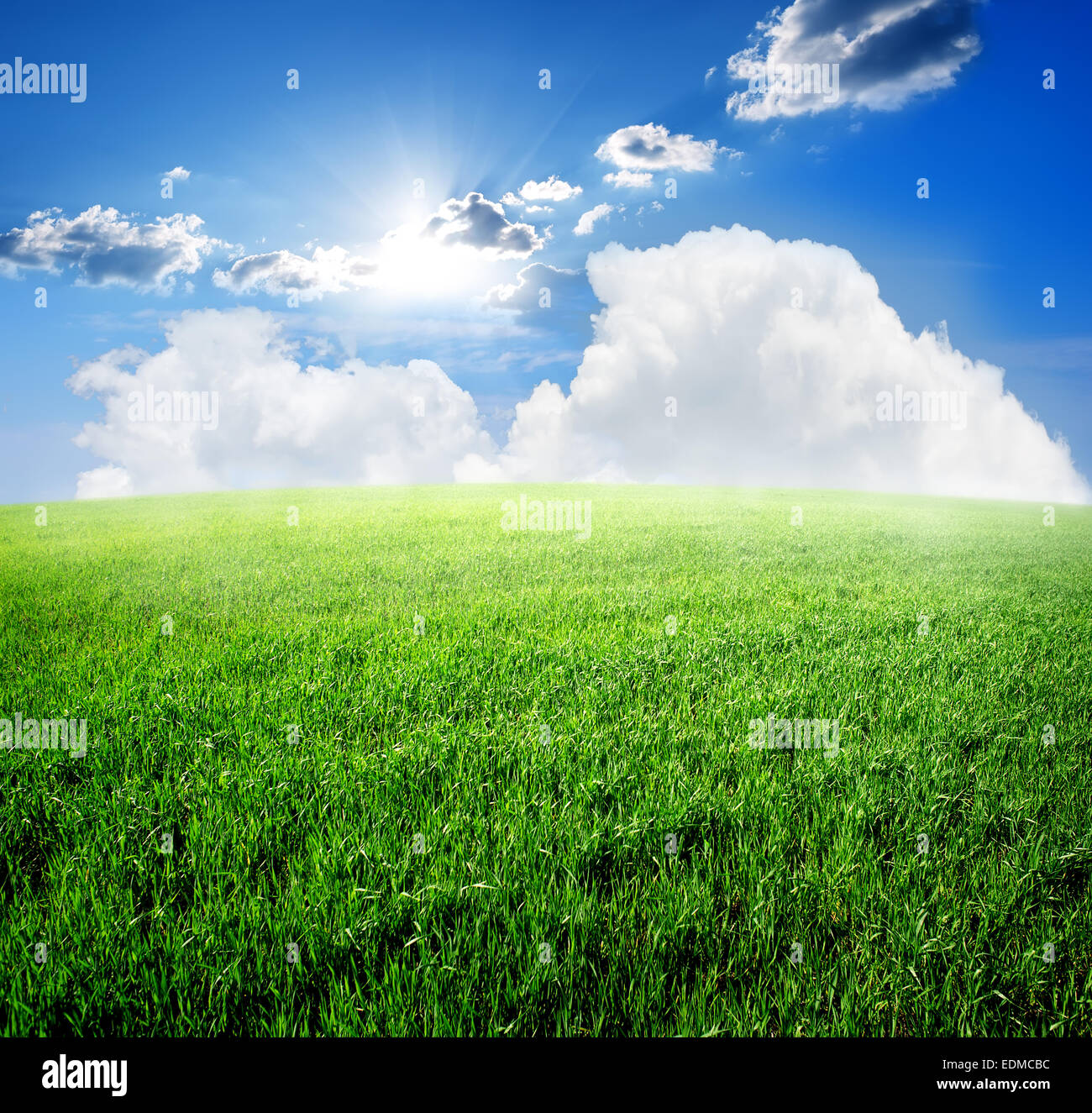 Blue Sky Green Grass Nature