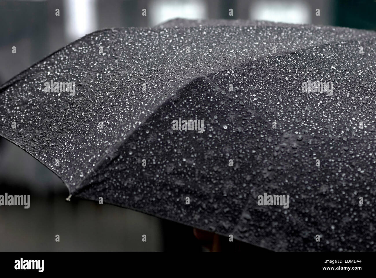 umbrella in the rain Stock Photo - Alamy