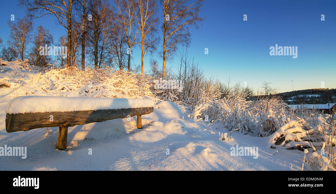 Winter landscape with wooden bench Stock Photo - Alamy