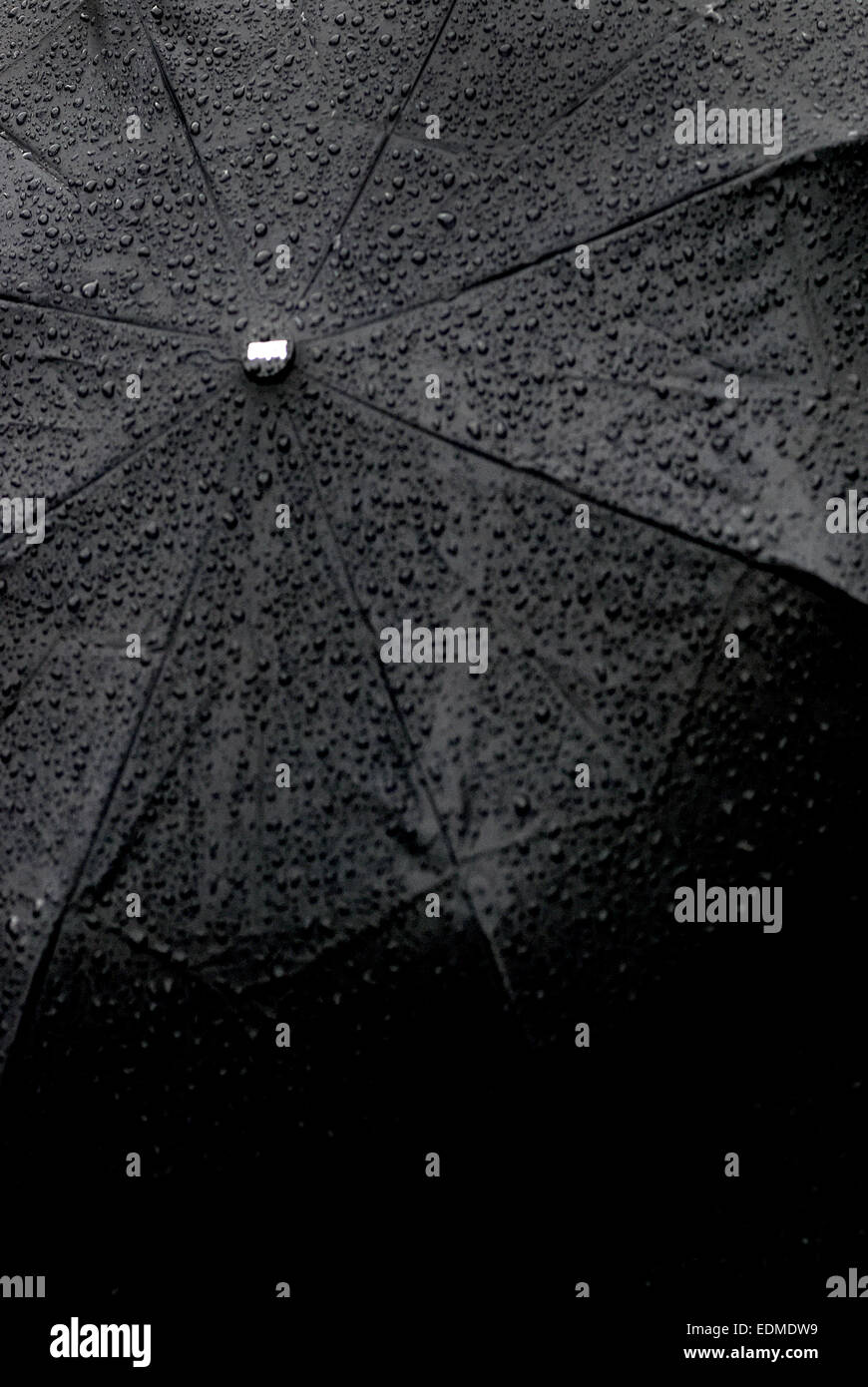 umbrella in the rain Stock Photo - Alamy