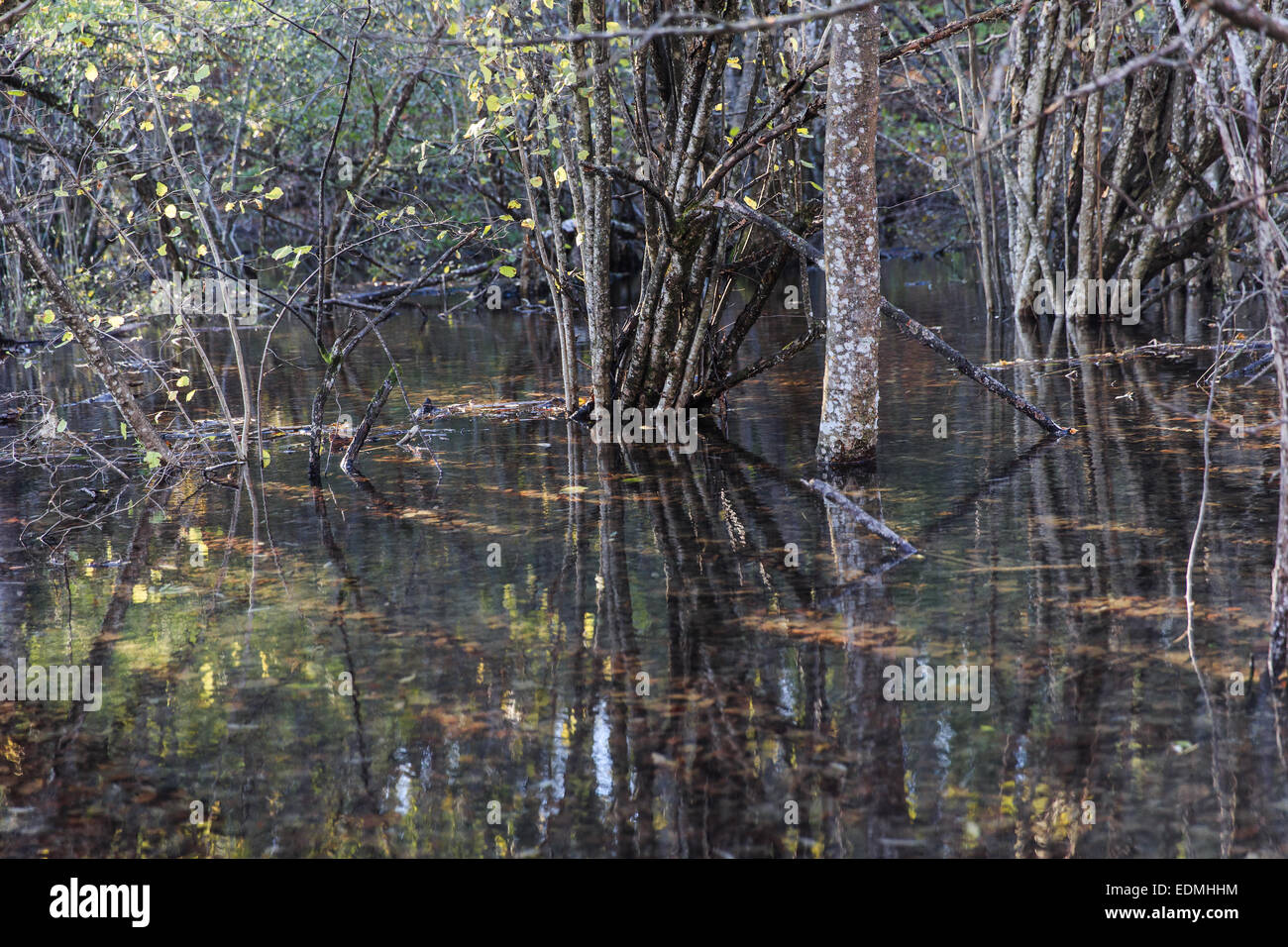 lika croatia landscape Stock Photo - Alamy