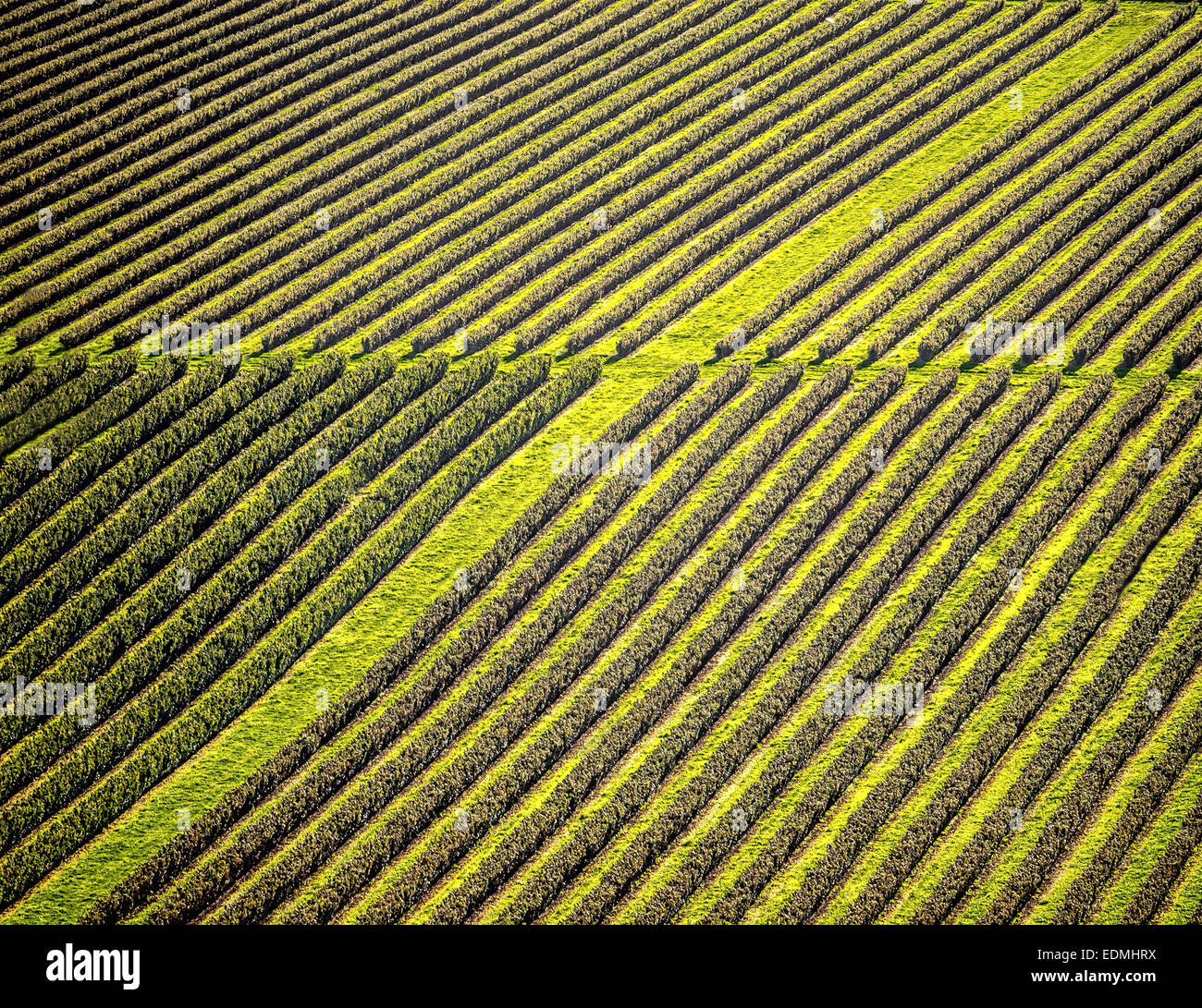Straight hedges hi-res stock photography and images - Alamy
