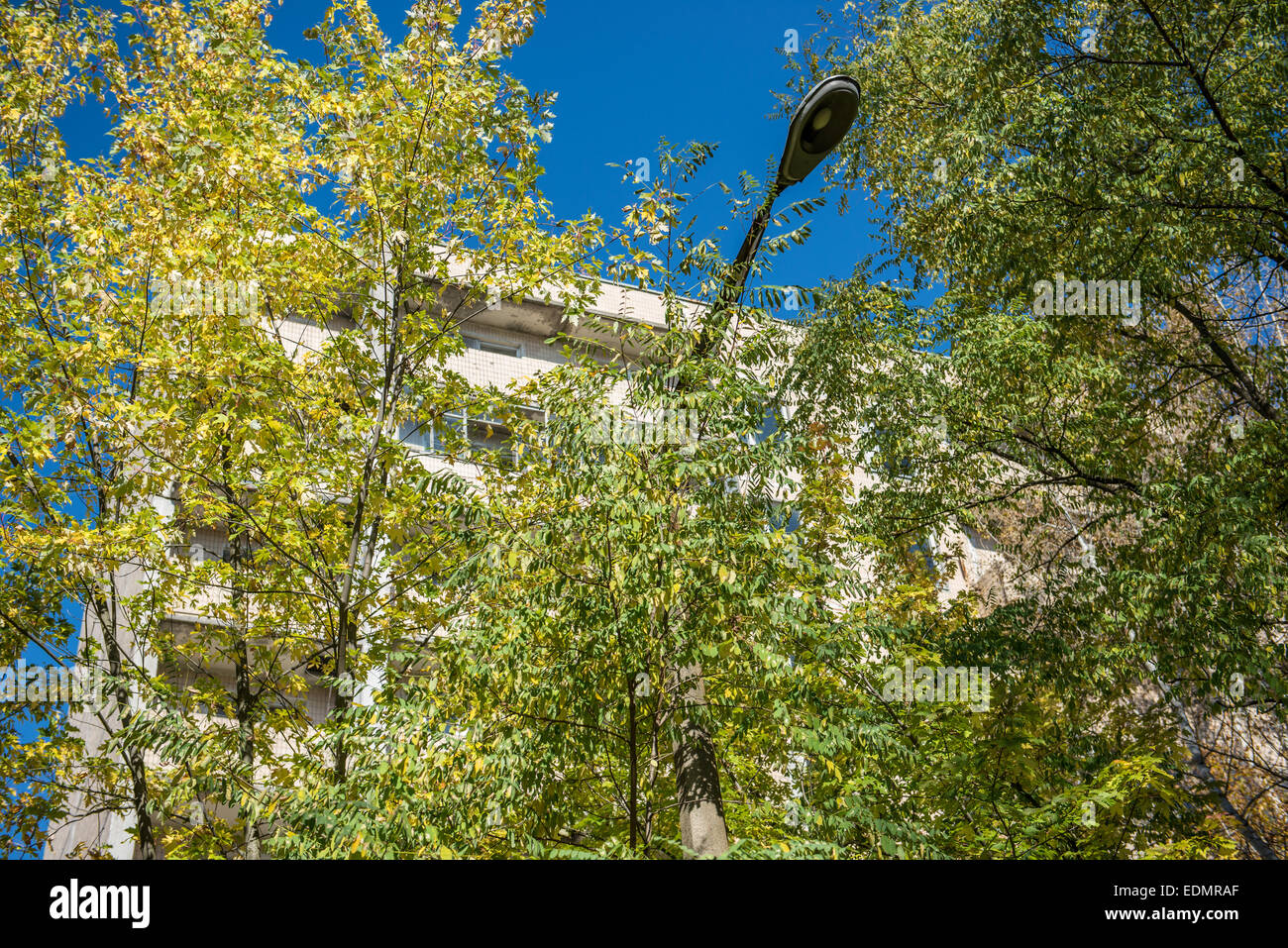 block of flats in Pripyat abandoned city, Chernobyl Exclusion Zone ...