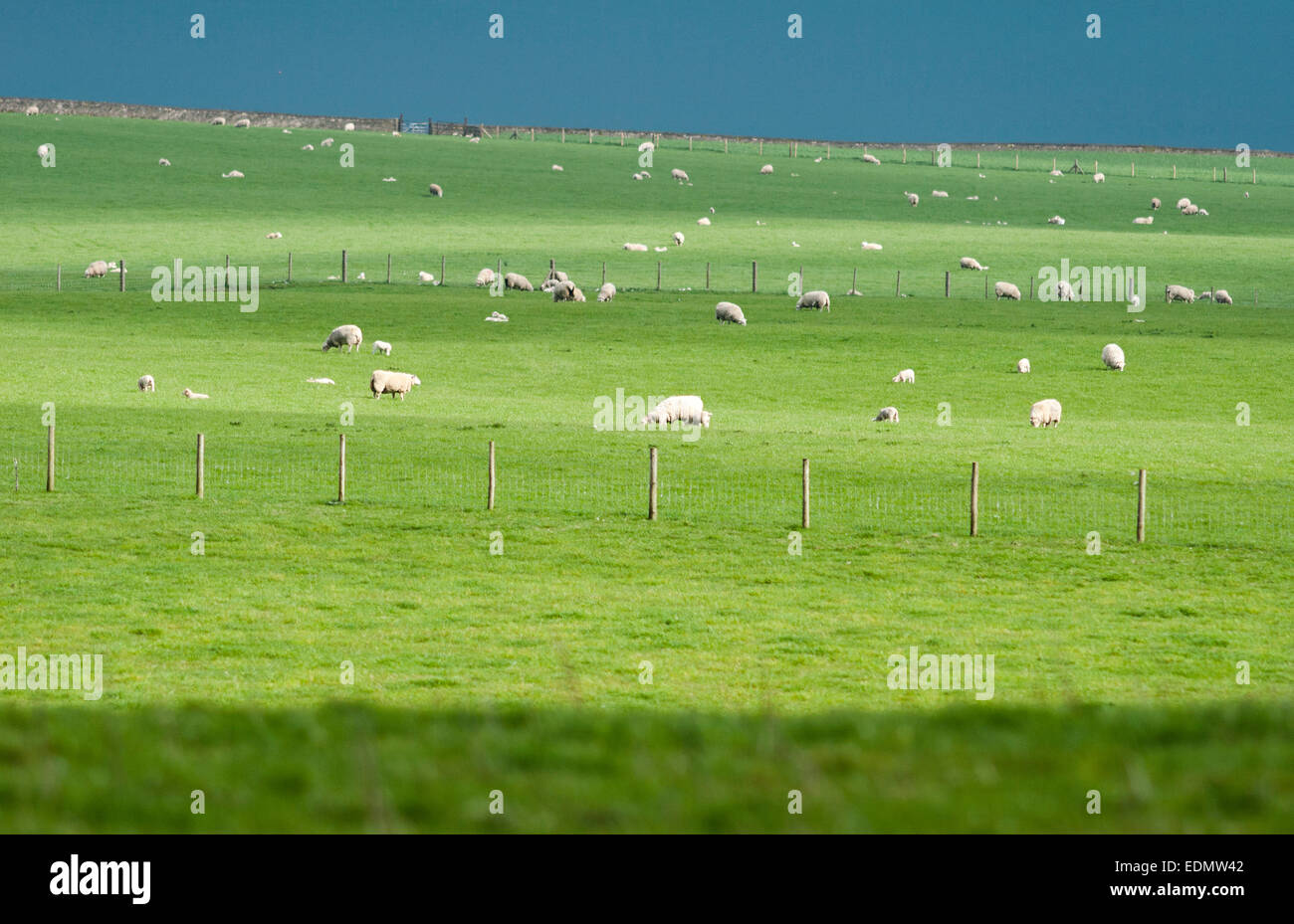 Coastal farm hi-res stock photography and images - Alamy