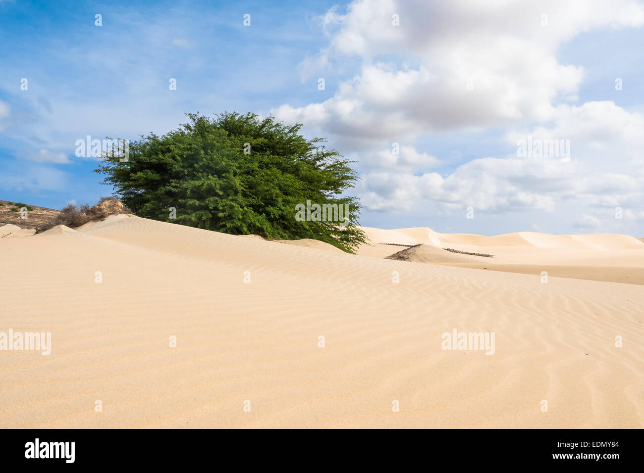 Sand dunes in Viana desert - Deserto de Viana in Boavista - Cape Verde ...