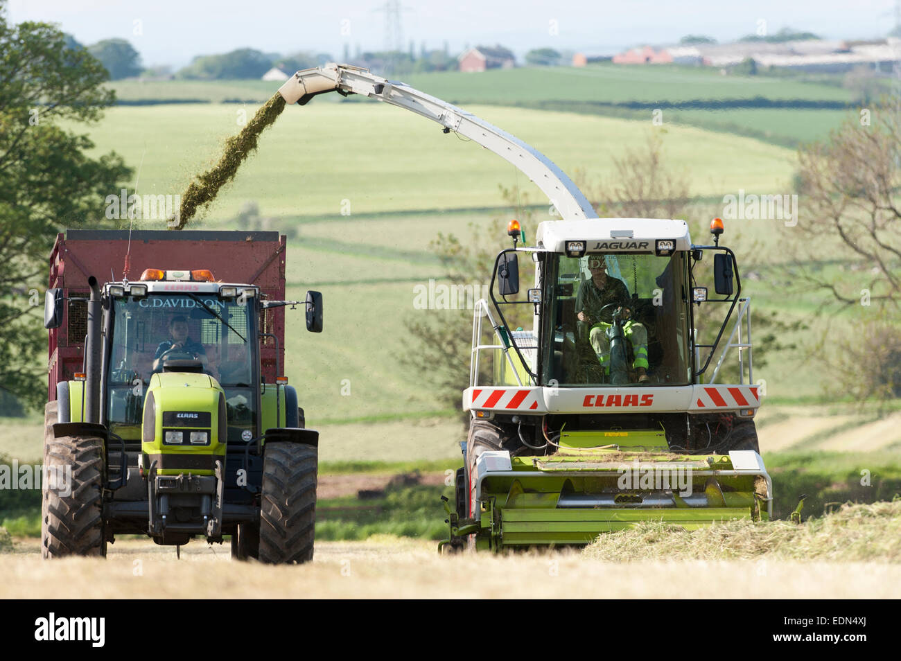Claas Jaguar 850 self propelled forager chopping grass and loading ...