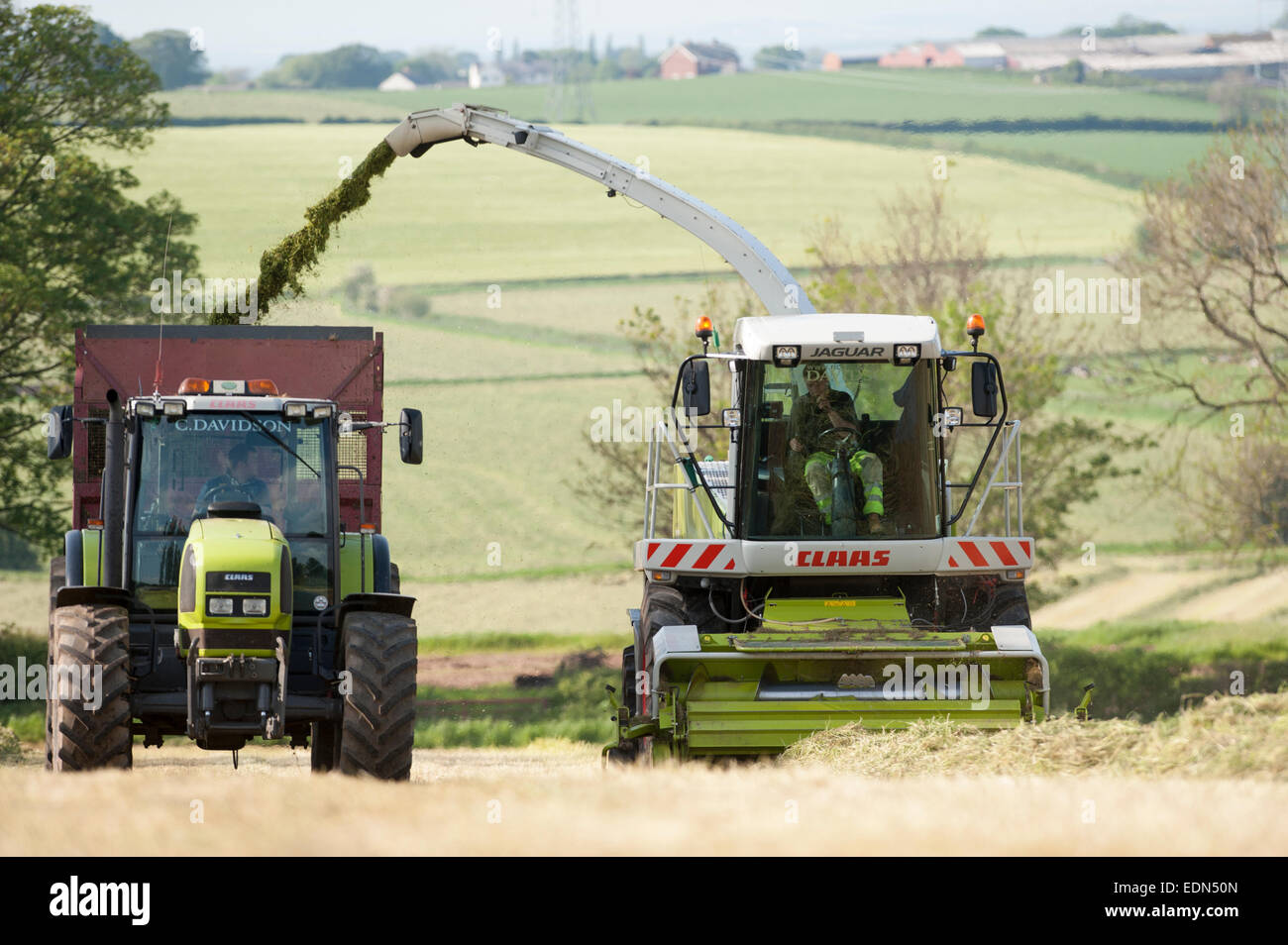 Claas Jaguar 850 self propelled forager chopping grass and loading ...