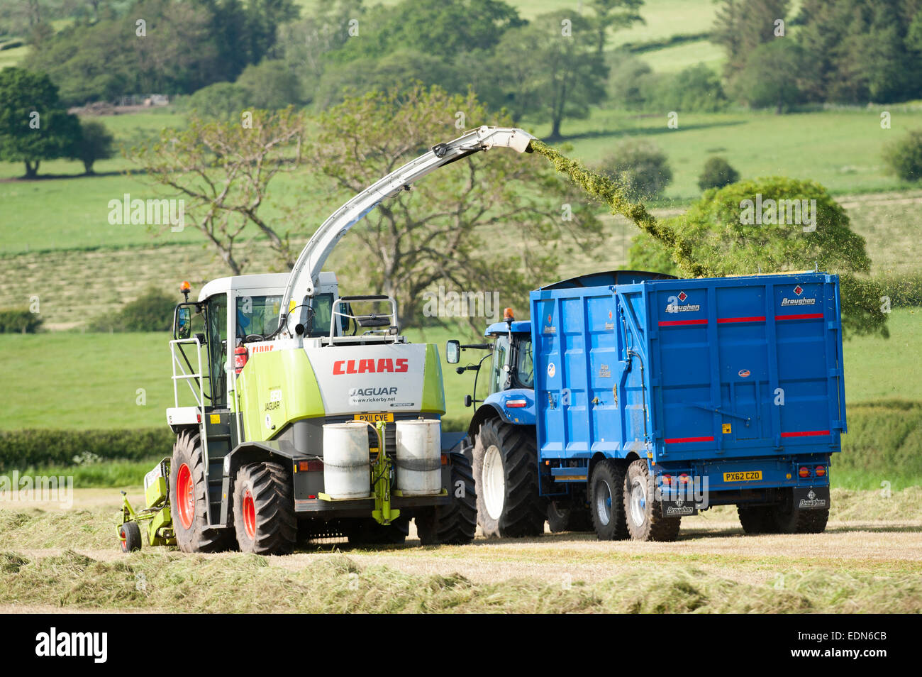 Claas Jaguar 850 self propelled forager chopping grass and loading ...