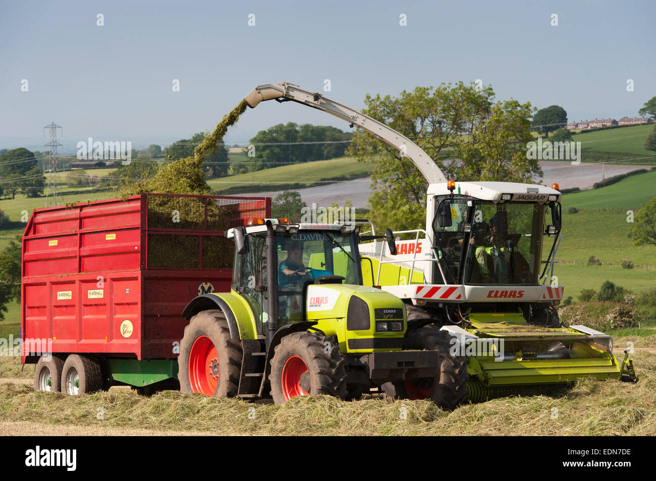 Claas Jaguar 850 self propelled forager chopping grass and loading ...