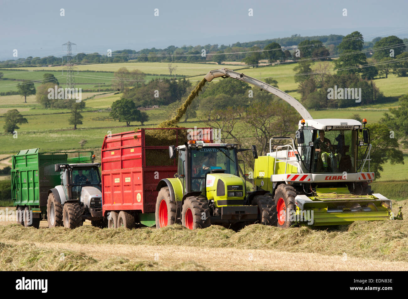 Claas Jaguar 850 self propelled forager chopping grass and loading ...