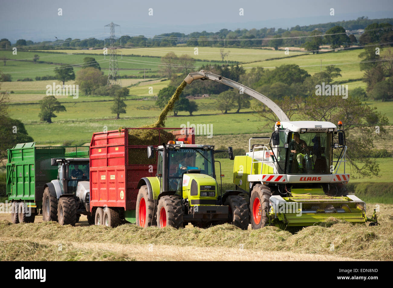 Claas Jaguar 850 self propelled forager chopping grass and loading ...