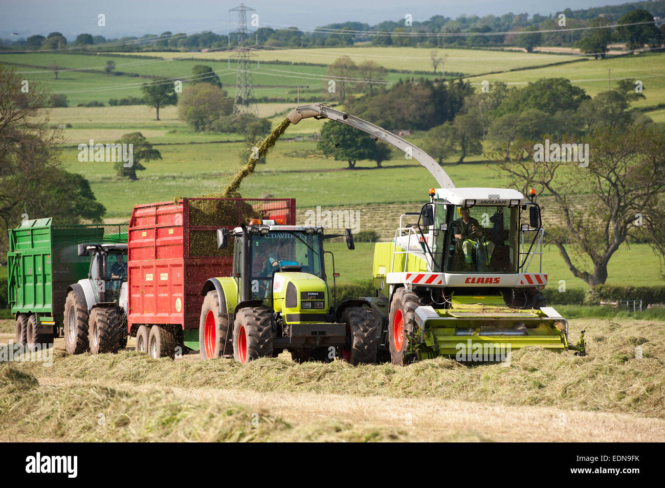 Claas Jaguar 850 self propelled forager chopping grass and loading ...