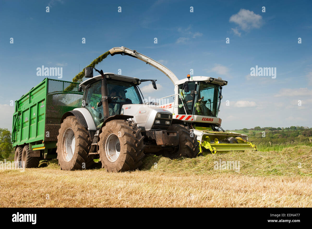 Claas Jaguar 850 self propelled forager chopping grass and loading ...