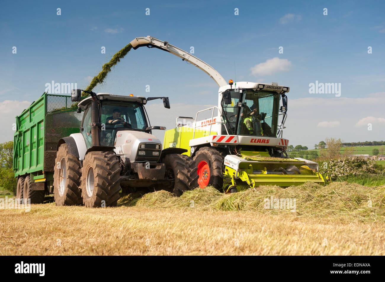 Claas Jaguar 850 self propelled forager chopping grass and loading ...