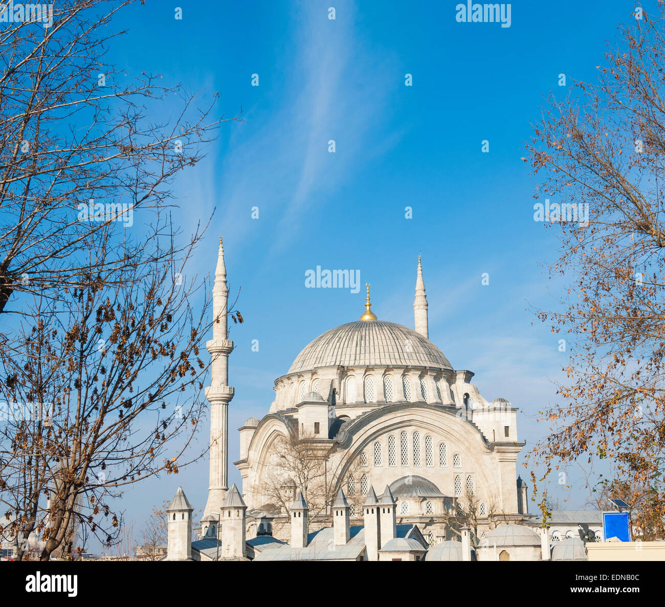 Ornate old mosque building framed by trees against a blue sky ...