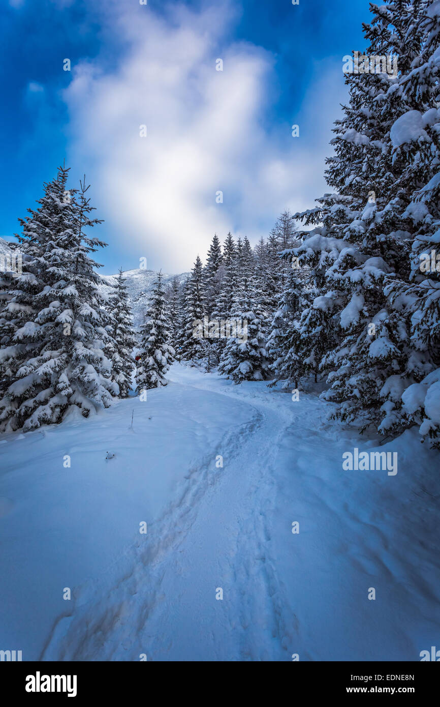 Mountain trail in snow valley Stock Photo - Alamy