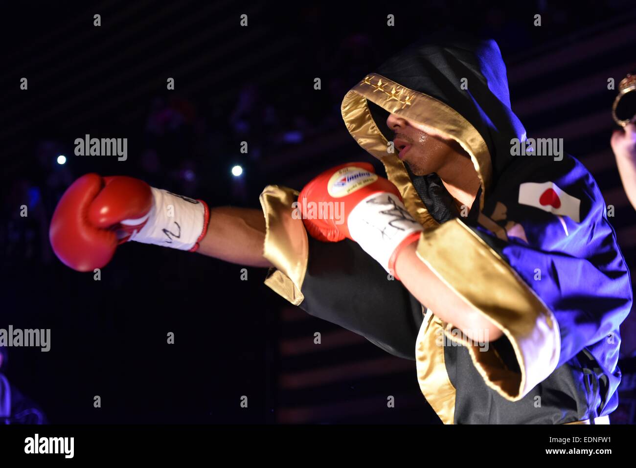 Tokyo, Japan. 31st Dec, 2014. Takashi Uchiyama (JPN) Boxing : Takashi ...