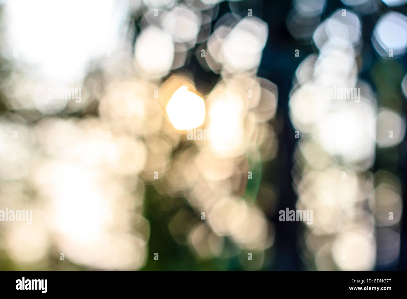 Photographic background blur effect hi-res stock photography and images ...